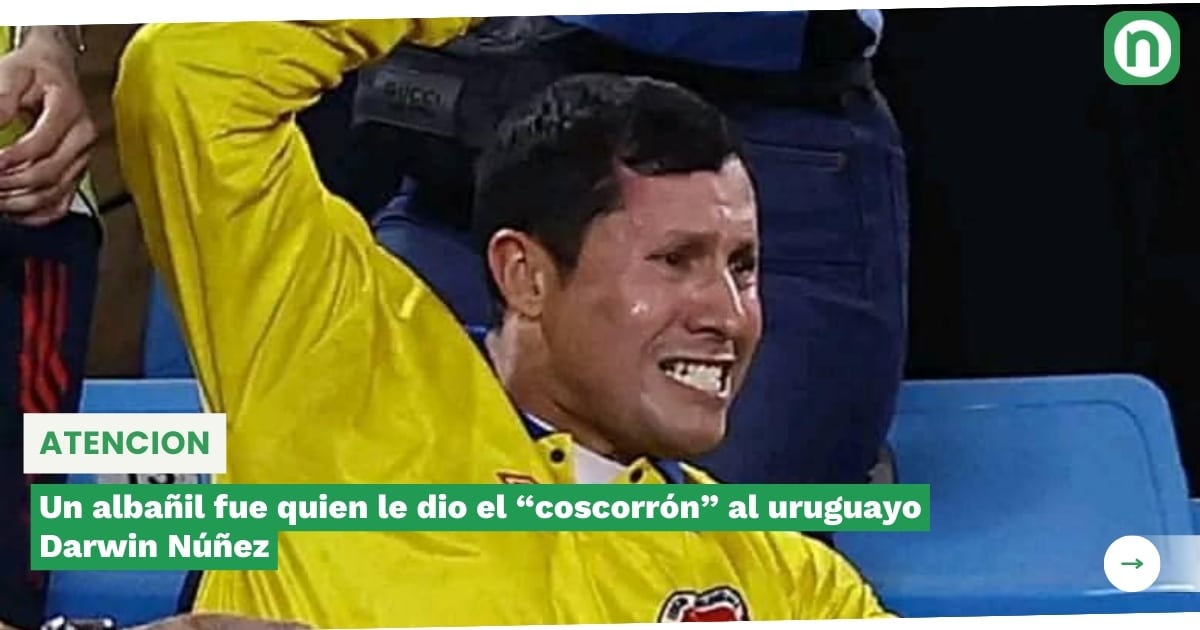 Un albañil fue quien le dio el “coscorrón” al uruguayo Darwin Núñez ...
