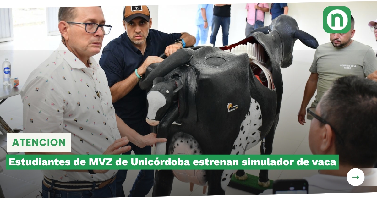 Estudiantes de MVZ de Unicórdoba estrenan simulador de vaca - El Noticion